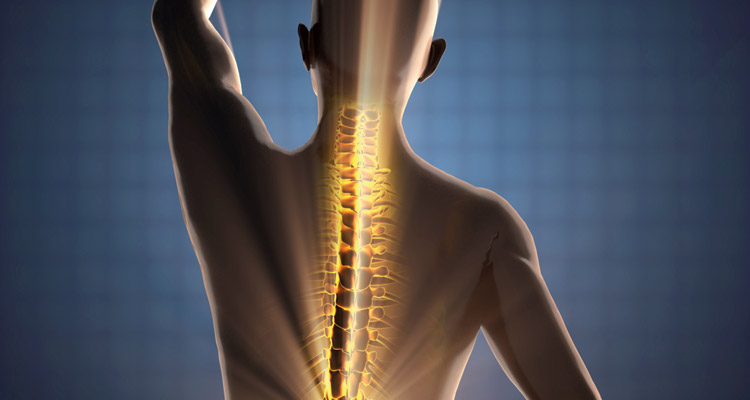 Energetische Wirbelsäulen Aufrichtung – Pinar Dogan – Transformation ...